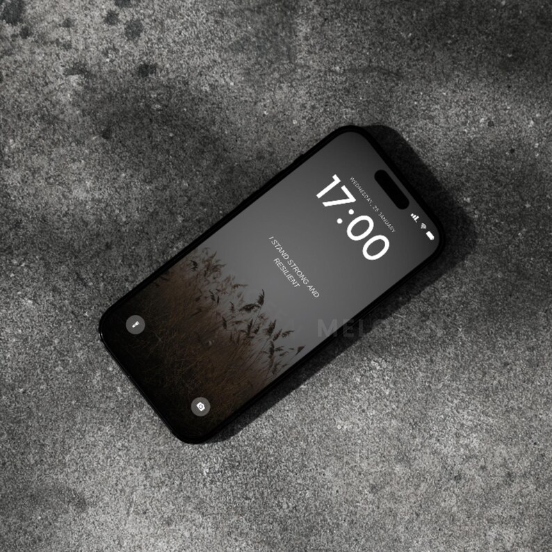 Motivational iPhone Wallpaper I Stand Strong and Resilient Empowering ...