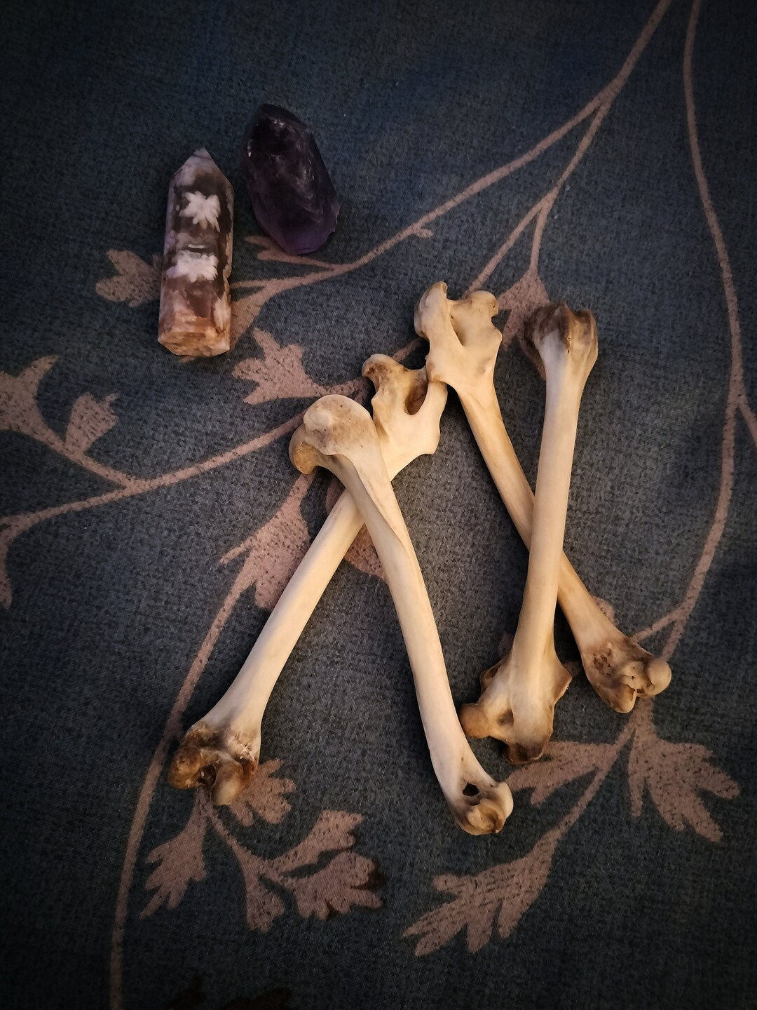 Yes or No Bone Throwing Five Questions Same Day Delivery - Etsy