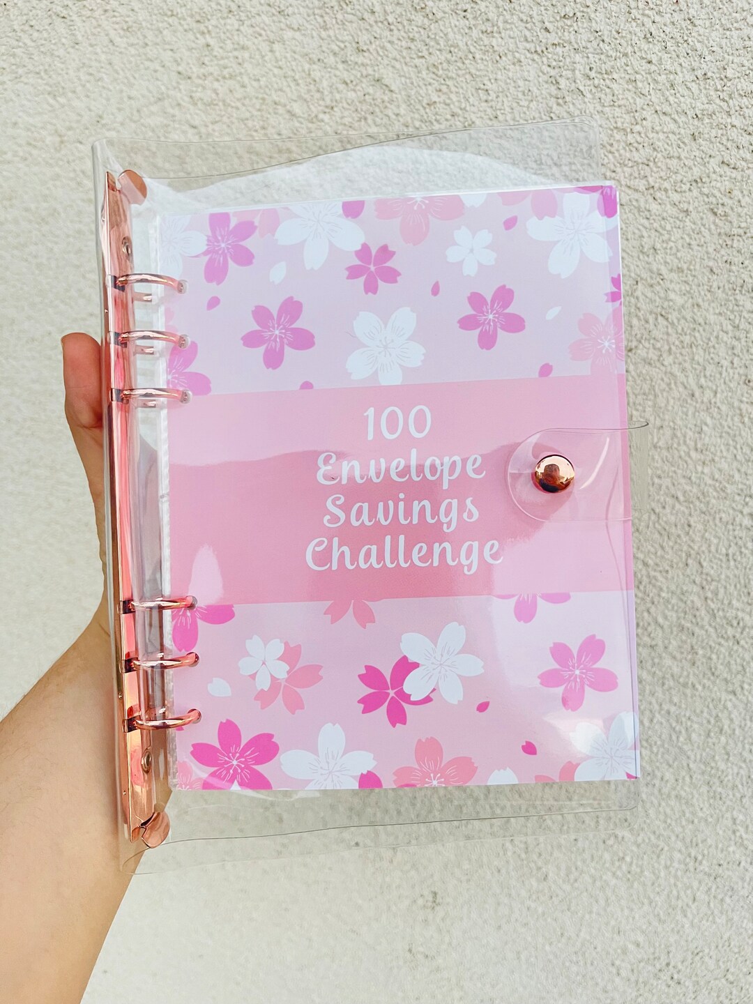 100 Envelope Challenge Clear Transparent Binder Saving Money Funds to ...
