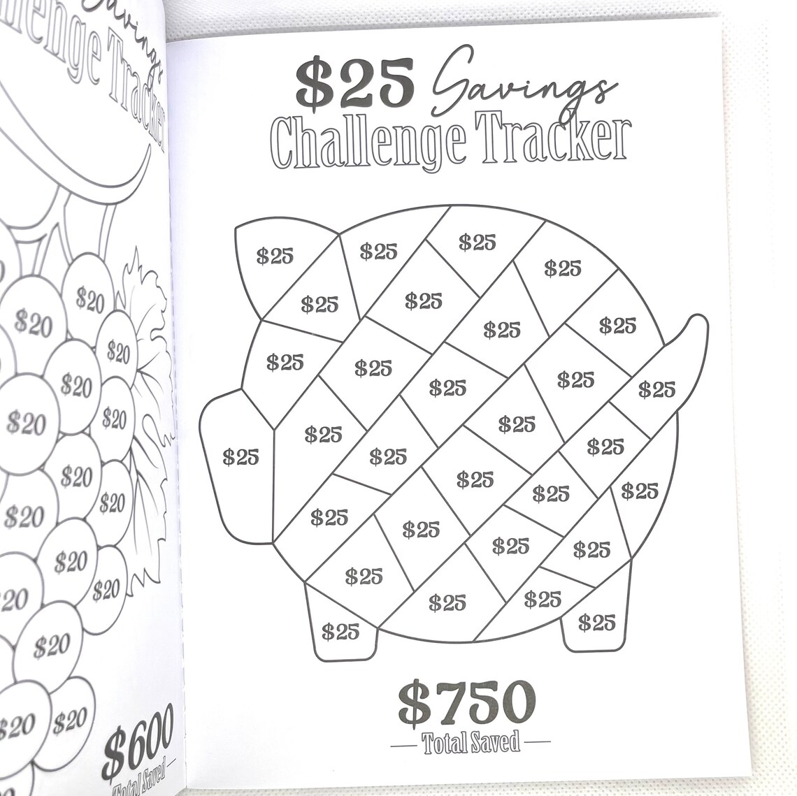 Money Saving Coloring Book Challenge Clear Transparent Binder Saving ...