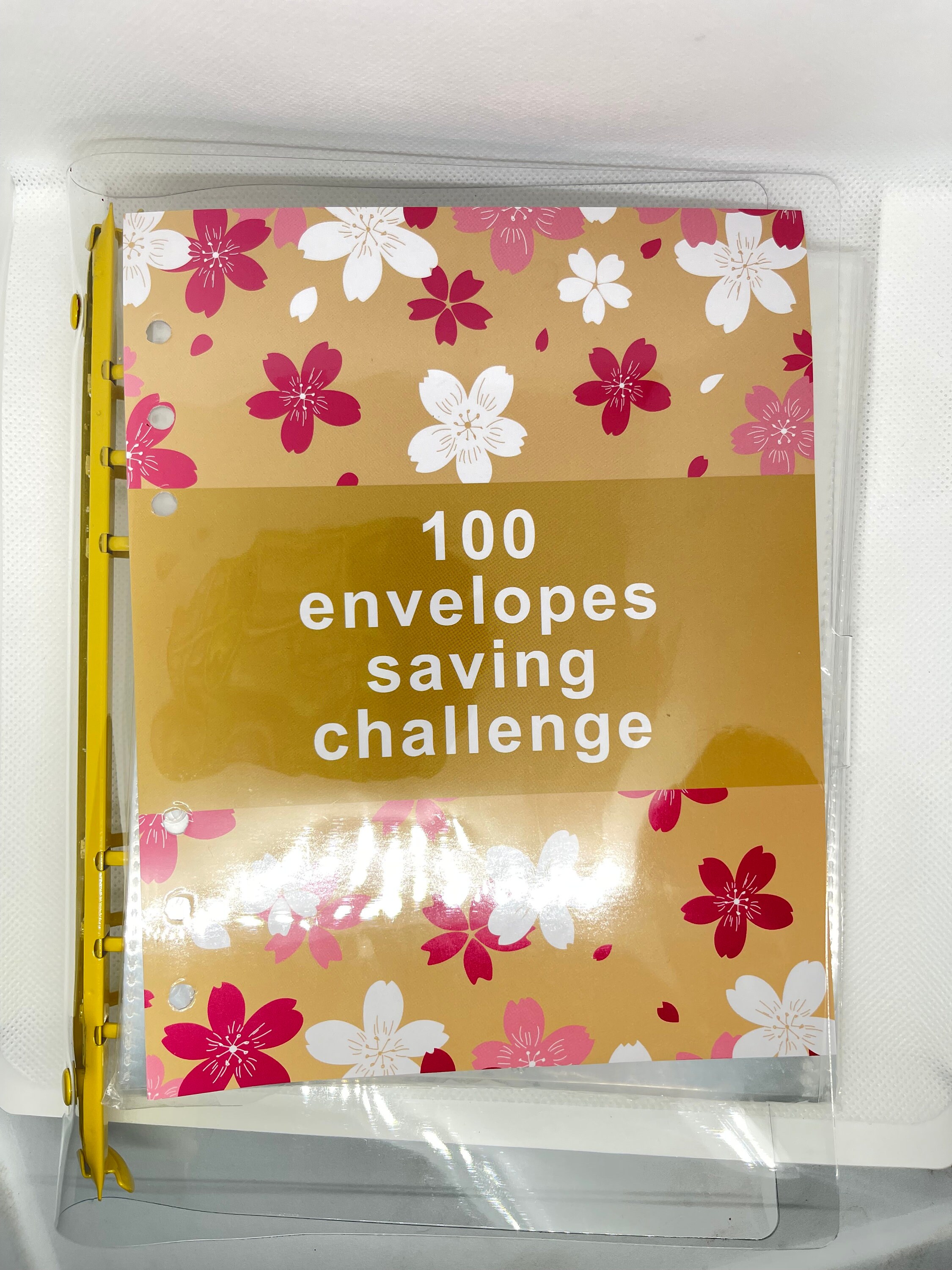100 Envelope Challenge Clear Transparent Binder Saving Money Funds to ...