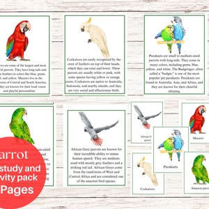 PARROT Unit Study, Anatomy, Handwriting, Learning Materials ...