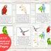 PARROT Unit Study, Anatomy, Handwriting, Learning Materials ...