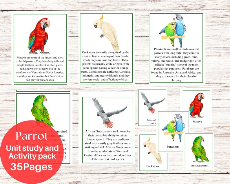 PARROT Unit Study, Anatomy, Handwriting, Learning Materials ...