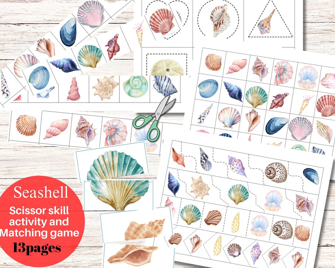 Seashell Cutting Strips and Matching Game for Kids, Puzzles for ...