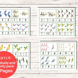 PARROT Unit Study, Anatomy, Handwriting, Learning Materials ...