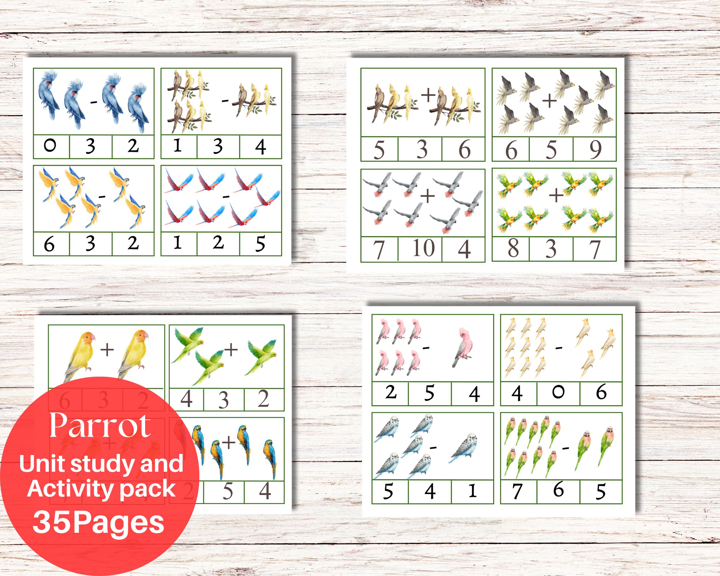 PARROT Unit Study, Anatomy, Handwriting, Learning Materials ...