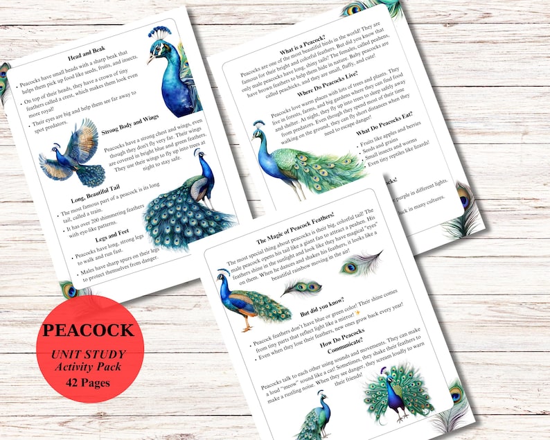 PEACOCK Unit Study and Activity Pack, Kids 3-6 Years Old, Anatomy ...