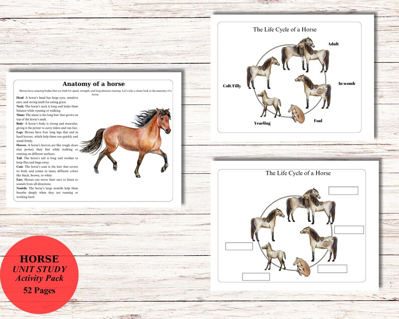 Horse Unit Study, Anatomy, Puzzles, Coloring Pages (instant Download ...