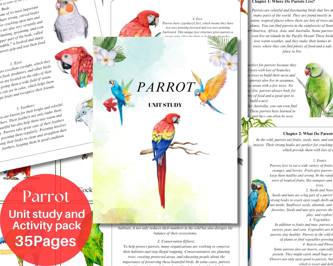 PARROT Unit Study, Anatomy, Handwriting, Learning Materials ...