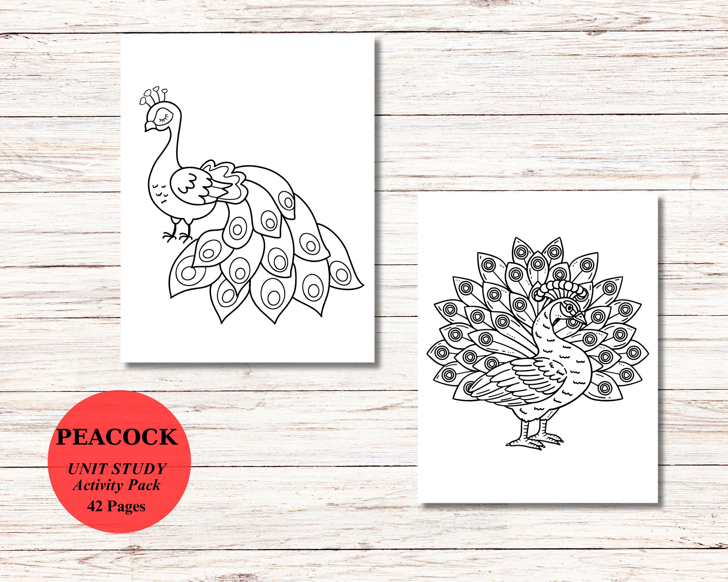 PEACOCK Unit Study and Activity Pack, Kids 3-6 Years Old, Anatomy ...