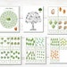 Tree Nature Journal BUNDLE - Unit Study, Life Cycle, Anatomy, Benefits ...