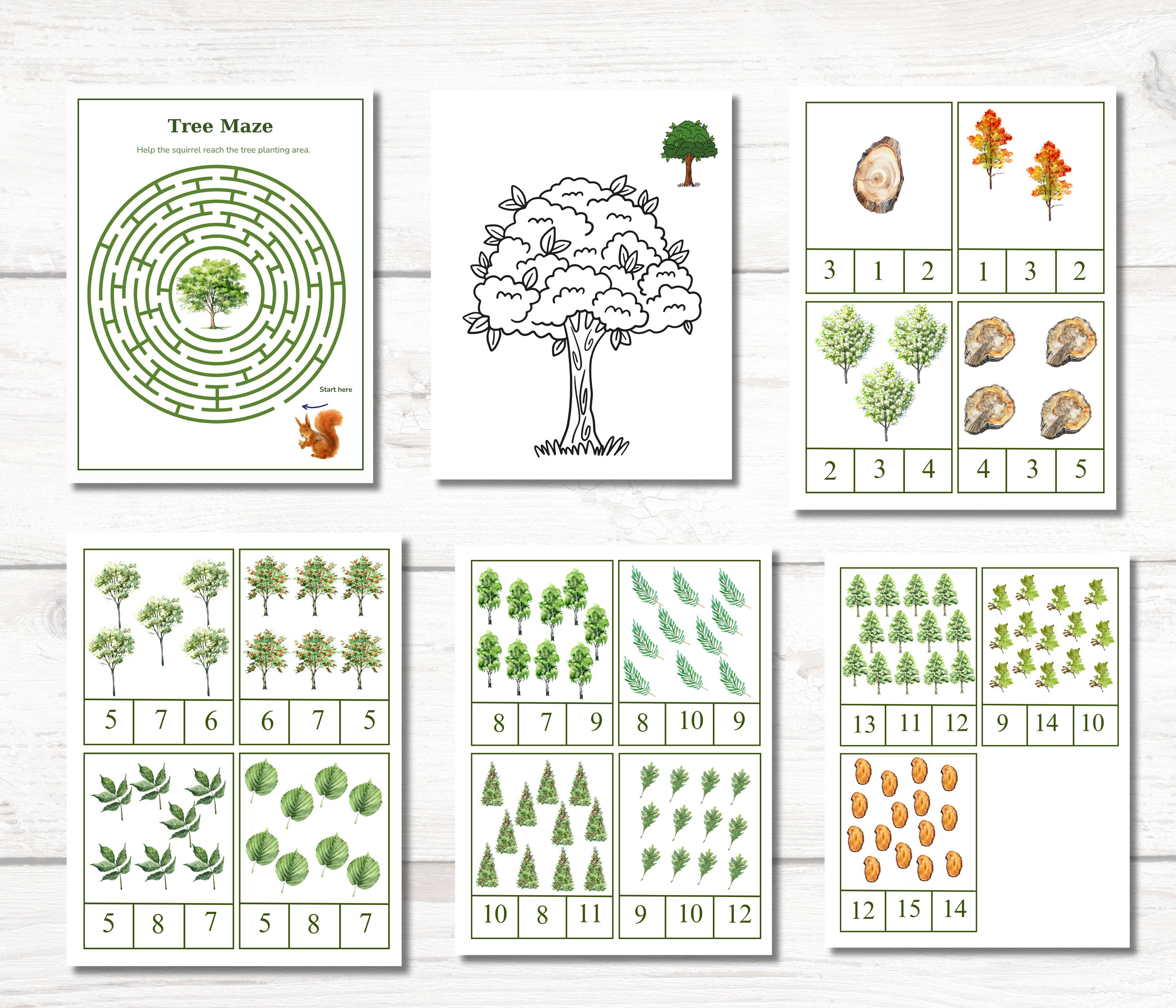 Tree Nature Journal BUNDLE - Unit Study, Life Cycle, Anatomy, Benefits ...