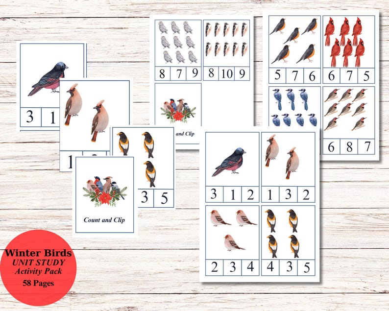 Winter Birds Unit Study, Anatomy & Activities (PDF) - Etsy