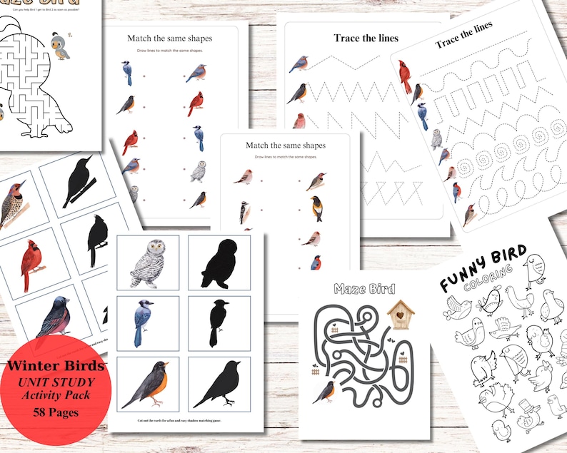 Winter Birds Unit Study, Anatomy & Activities (PDF) - Etsy