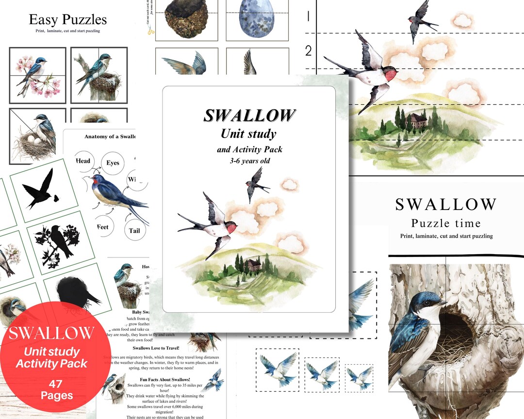 SWALLOW Unit Study Ant Activity Pack 3-6 Years Old. Instant Download - Etsy