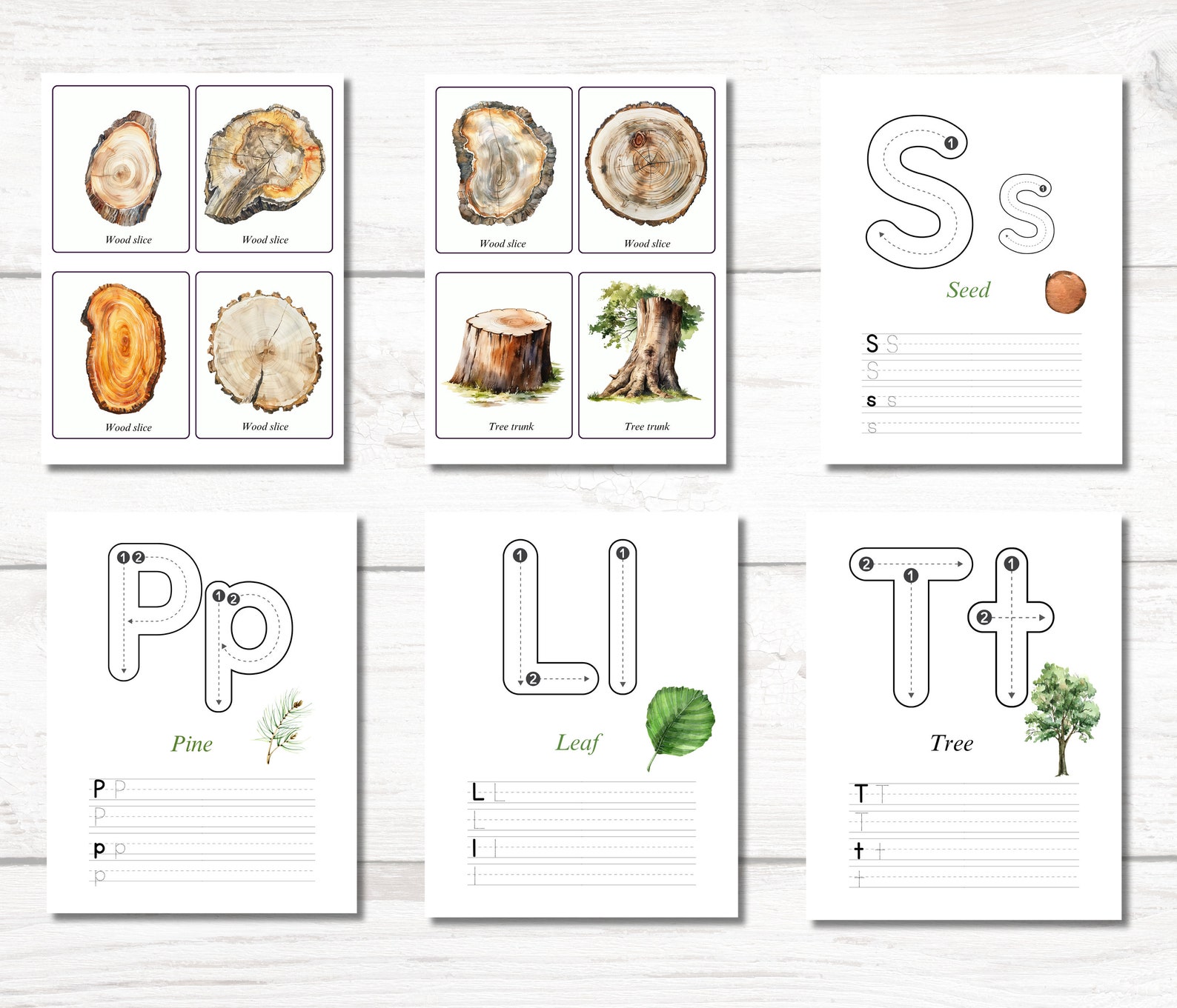 Tree Nature Journal BUNDLE - Unit Study, Life Cycle, Anatomy, Benefits ...