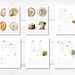 Tree Nature Journal BUNDLE - Unit Study, Life Cycle, Anatomy, Benefits ...