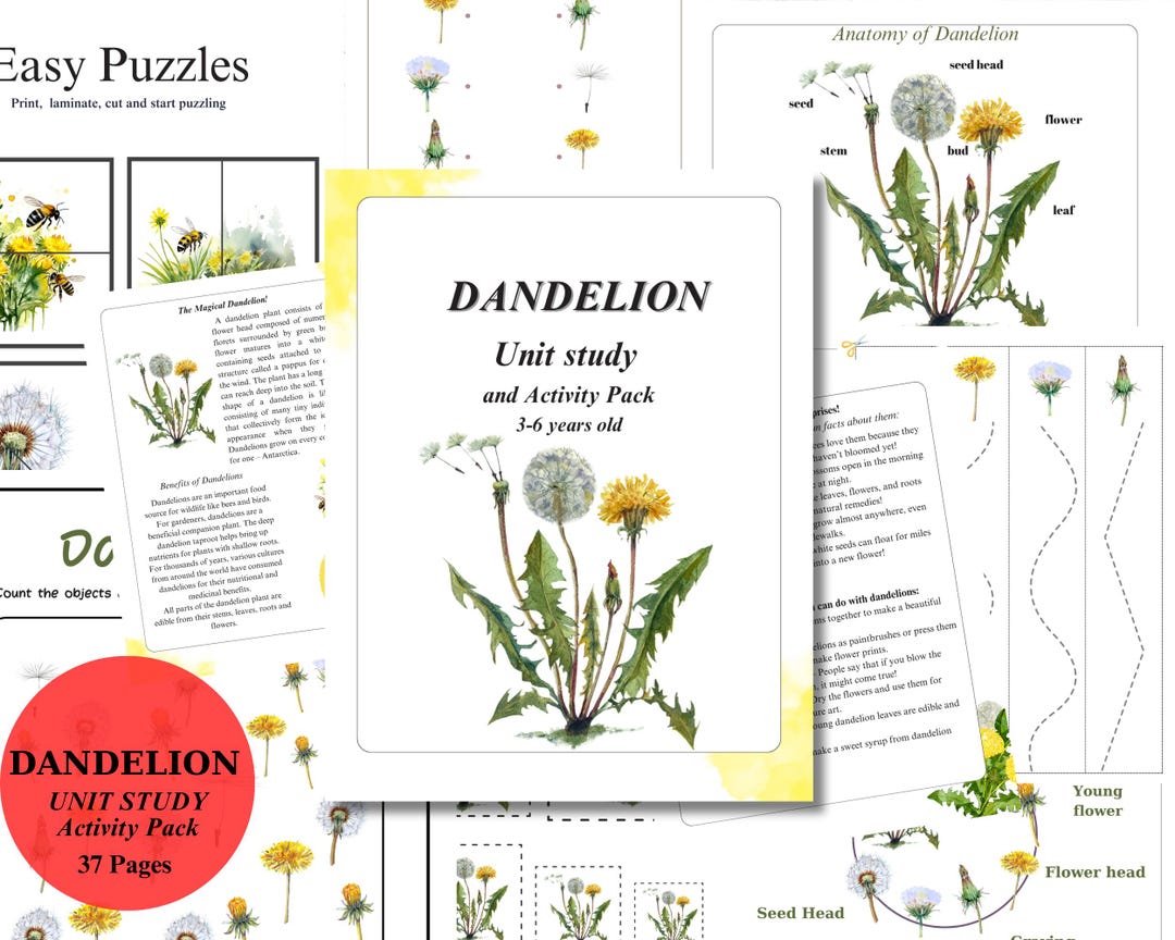 Dandelion Unit Study and Activity Pack, Nature Study, Life Cycle ...