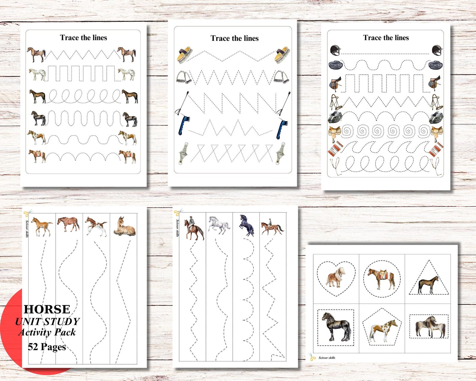 Horse Unit Study, Horse Activities, Horse Homeschool, Horse Anatomy, Horse Puzzle, Horse ...