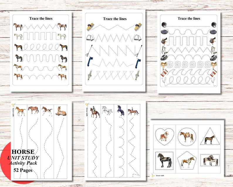 Horse Unit Study, Horse Activities, Horse Homeschool, Horse Anatomy ...