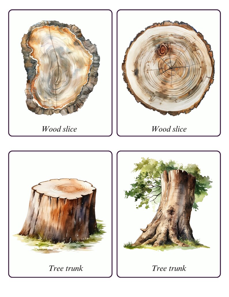 Tree Nature Journal BUNDLE - Unit Study, Life Cycle, Anatomy, Benefits ...