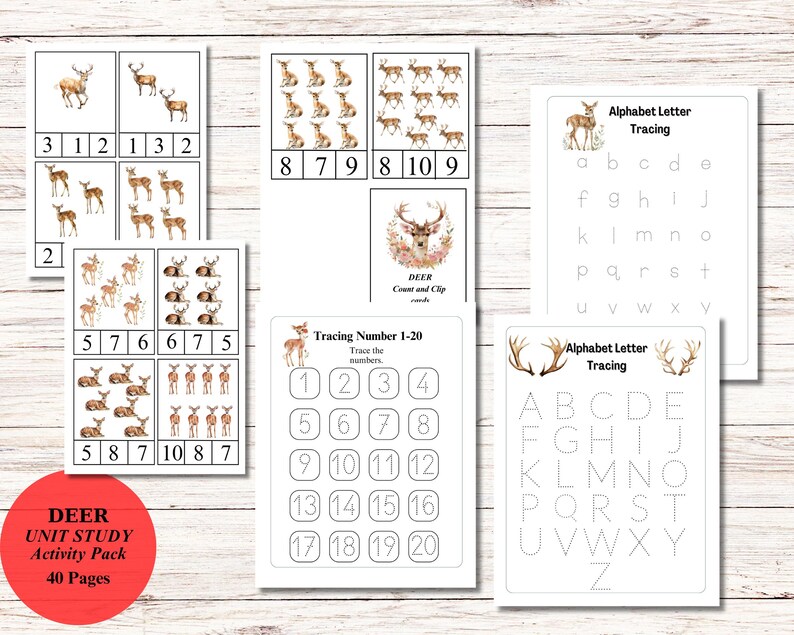 DEER Unit Study, Life Cycle, Anatomy, Deer Activities, Kids- 3-6 Years ...