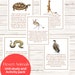 Desert Animals Unit Study, Desert Activities, Nature Journal - Etsy