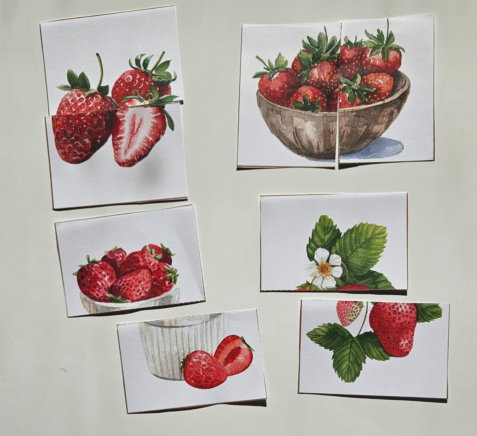 Strawberry Nature Journal, Strawberry Anatomy, Strawberry Lifecycle ...