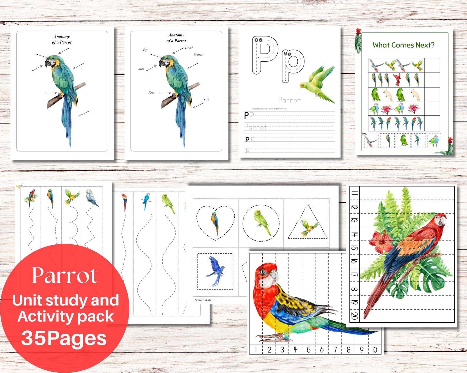 PARROT Unit Study, Anatomy, Handwriting, Learning Materials ...