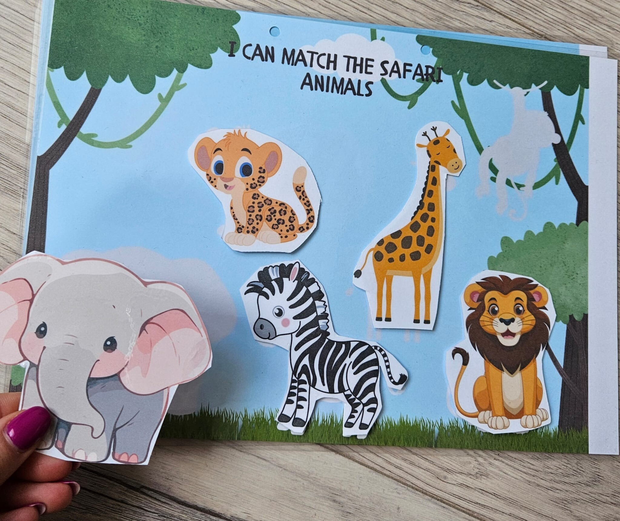 Animal Matching, Printable Animal Activity, Animal Habitats, Preschool ...