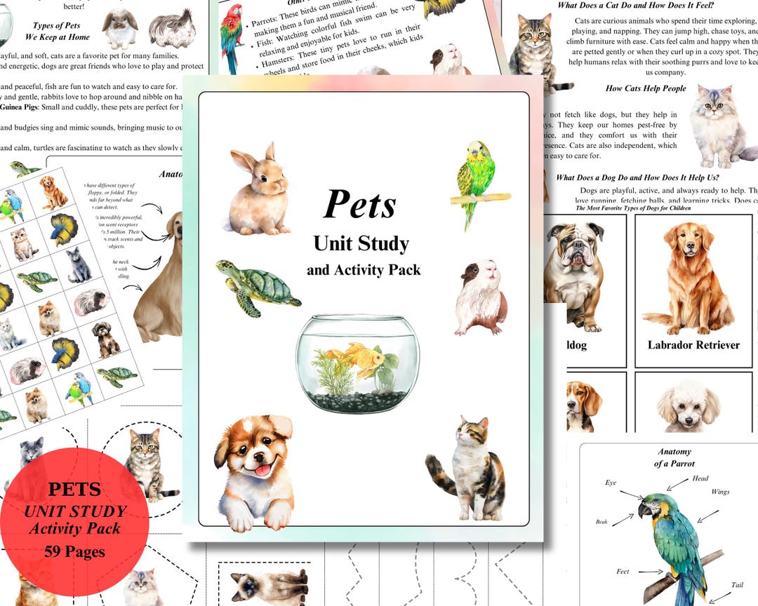 PETS UNIT STUDY and Activity Pack for Children 3-6years Old. Homeschool ...
