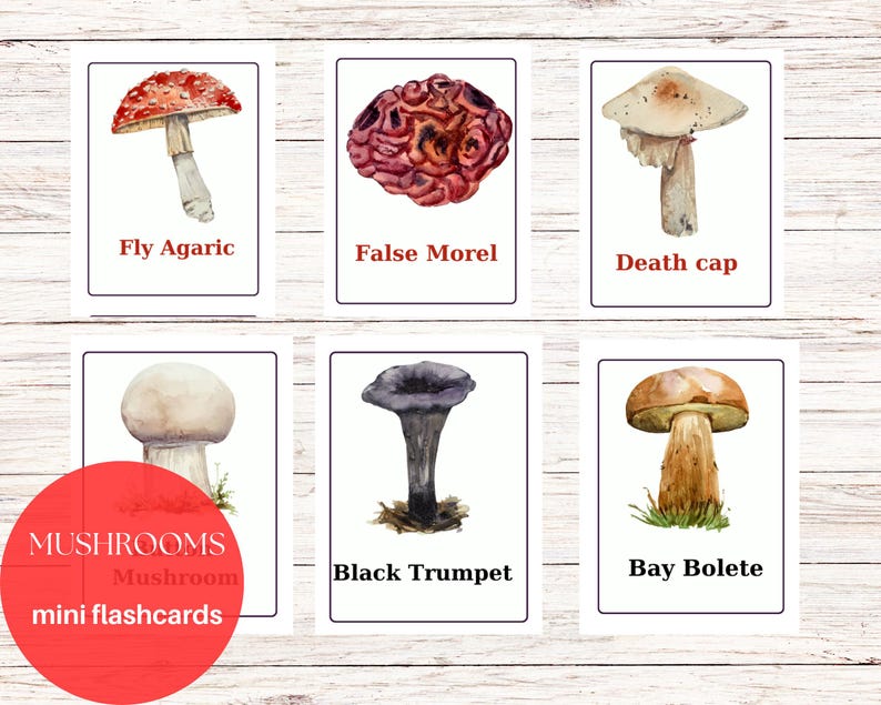 Mushrooms Flashcards, Watercolor Mushrooms Printable Cards for Toddlers ...