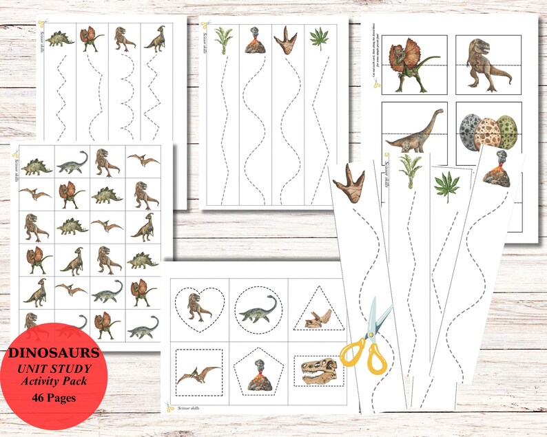 Dinosaurs Unit Study, Dinosaur Lifecycle, Dinosaur Anatomy and Activity ...