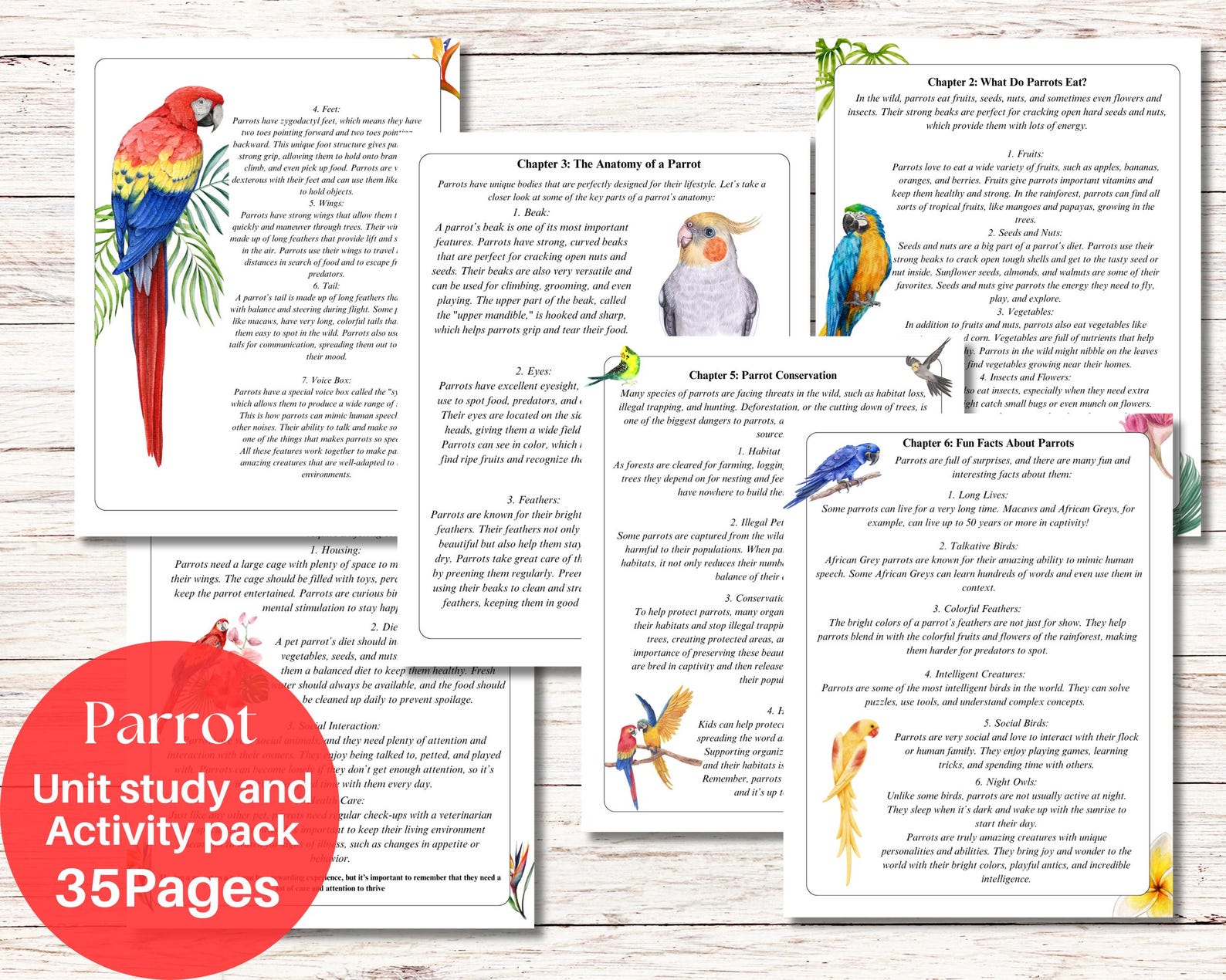 PARROT Unit Study, Anatomy, Handwriting, Learning Materials ...
