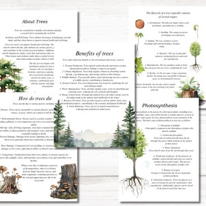 Tree Nature Journal BUNDLE - Unit Study, Life Cycle, Anatomy, Benefits ...