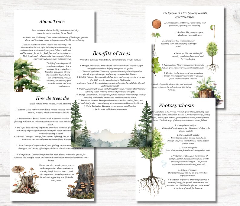 Tree Nature Journal BUNDLE - Unit Study, Life Cycle, Anatomy, Benefits ...
