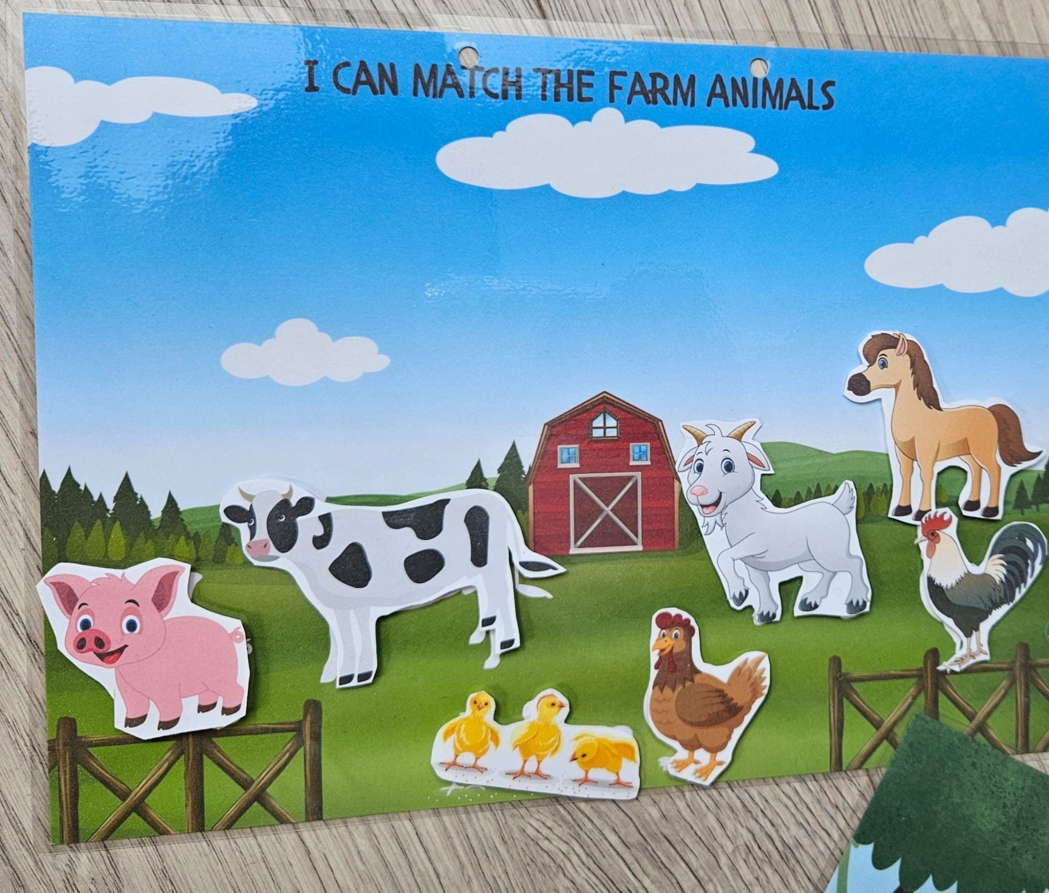 Animal Matching, Printable Animal Activity, Animal Habitats, Preschool ...