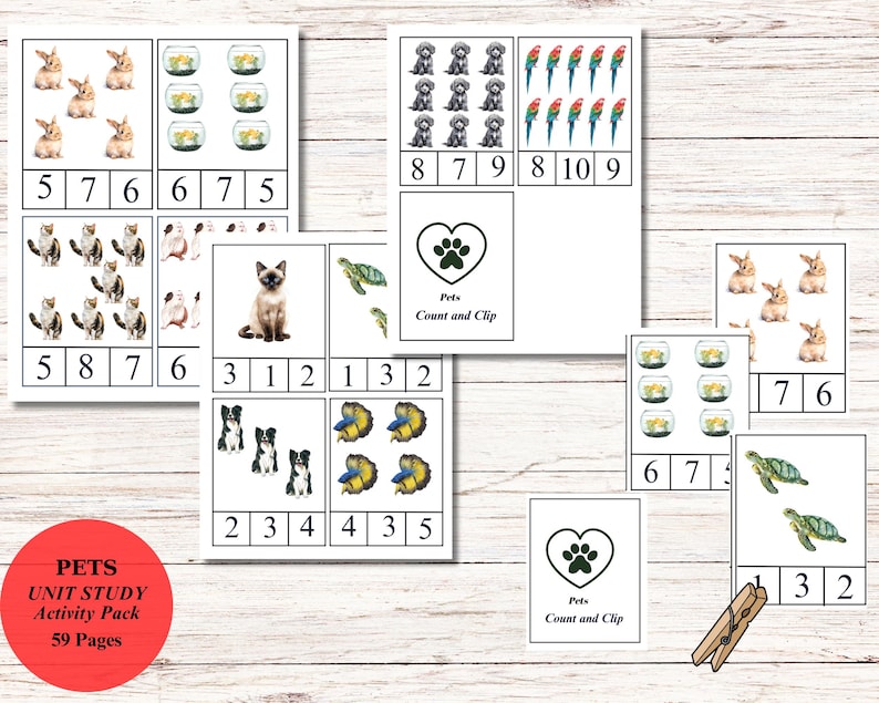 PETS UNIT STUDY and Activity Pack for Children 3-6years Old. Homeschool ...