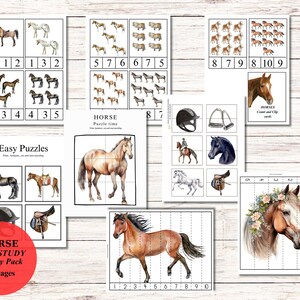 Horse Unit Study, Horse Activities, Horse Homeschool, Horse Anatomy, Horse Puzzle, Horse ...