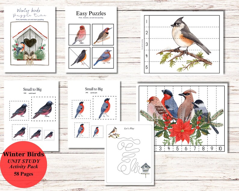 Winter Birds Unit Study, Anatomy & Activities (PDF) - Etsy