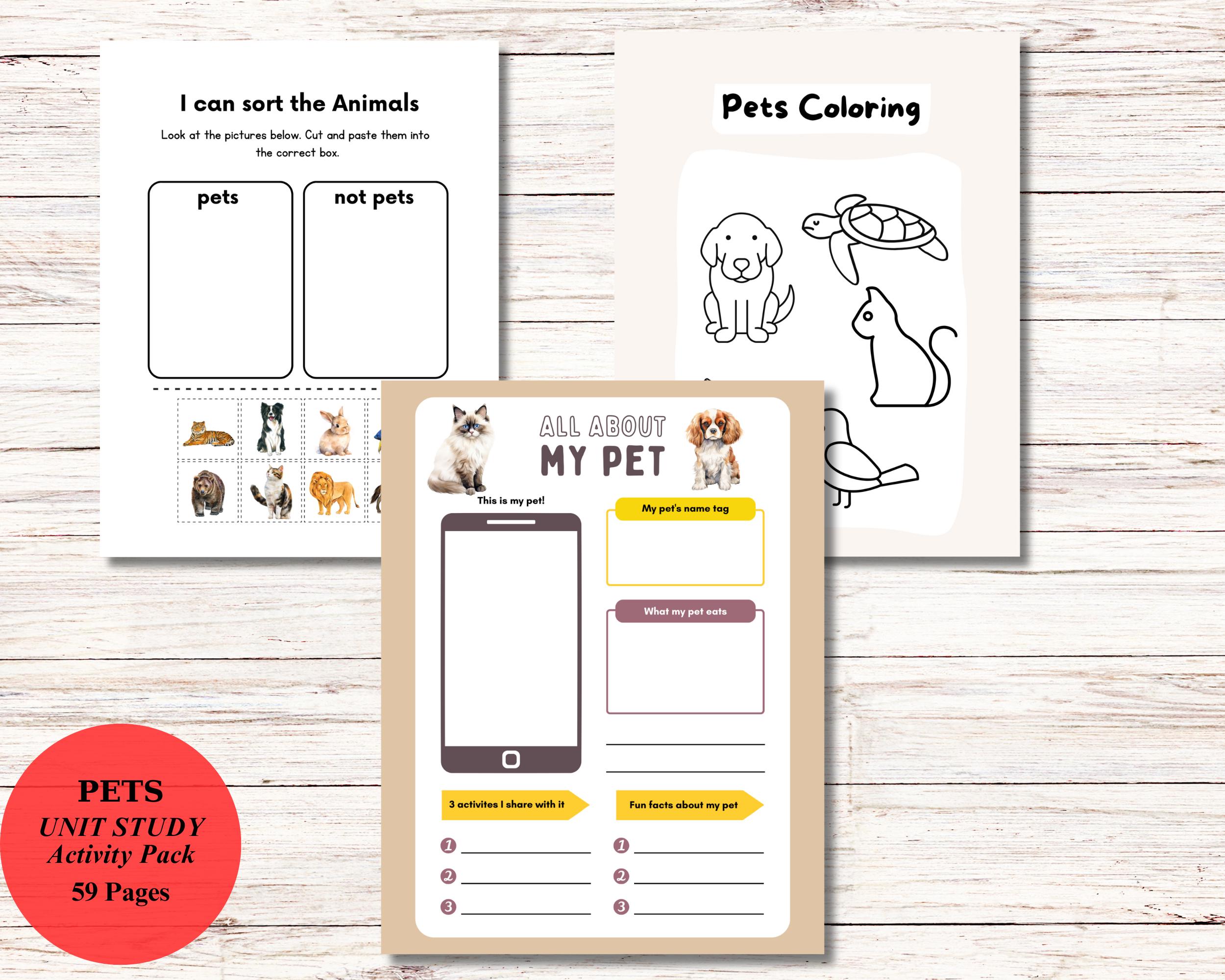 PETS UNIT STUDY and Activity Pack for Children 3-6years Old. Homeschool ...