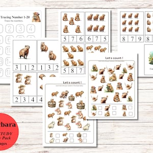 Capybara Unit Study and Activity Pack, Instant Download - Etsy