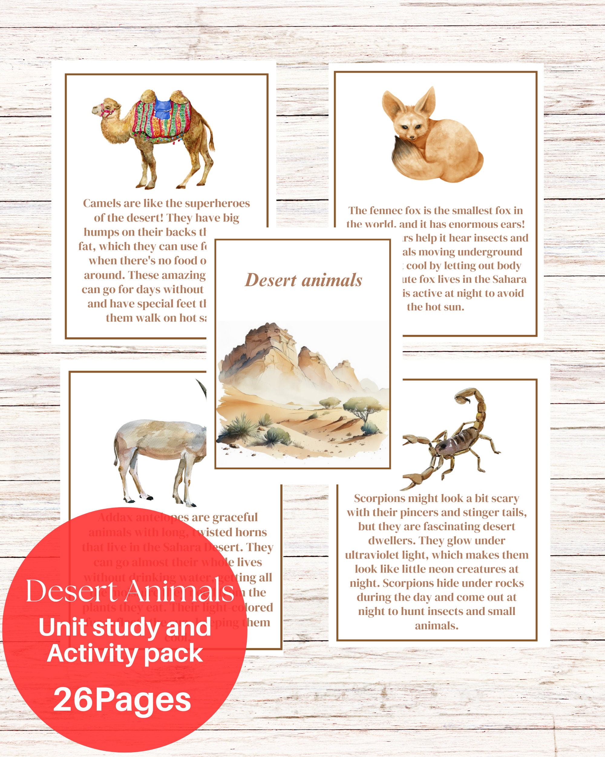 Desert Animals Unit Study, Desert Activities, Nature Journal - Etsy