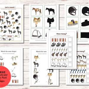 Horse Unit Study, Horse Activities, Horse Homeschool, Horse Anatomy, Horse Puzzle, Horse ...