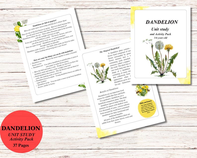 Dandelion Unit Study and Activity Pack, Nature Study, Life Cycle ...