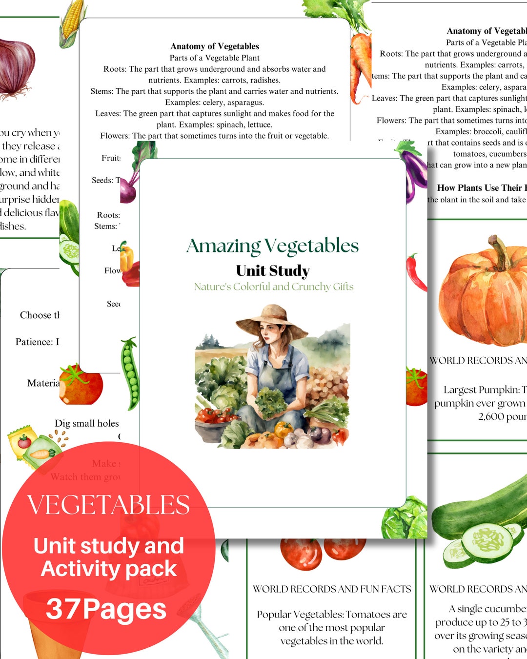Vegetable Unit Study Homeschool, Homeschool Learning Materials ...