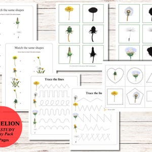 Dandelion Unit Study and Activity Pack, Nature Study, Life Cycle ...