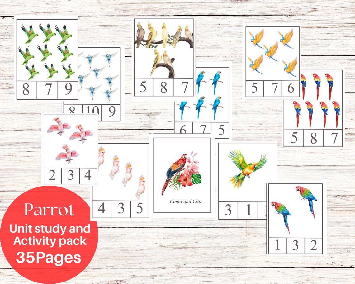 PARROT Unit Study, Anatomy, Handwriting, Learning Materials ...