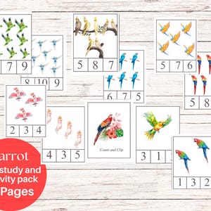 PARROT Unit Study, Anatomy, Handwriting, Learning Materials ...